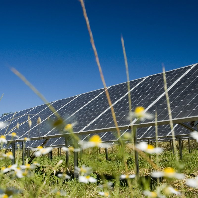 News – Springwell Solar Farm