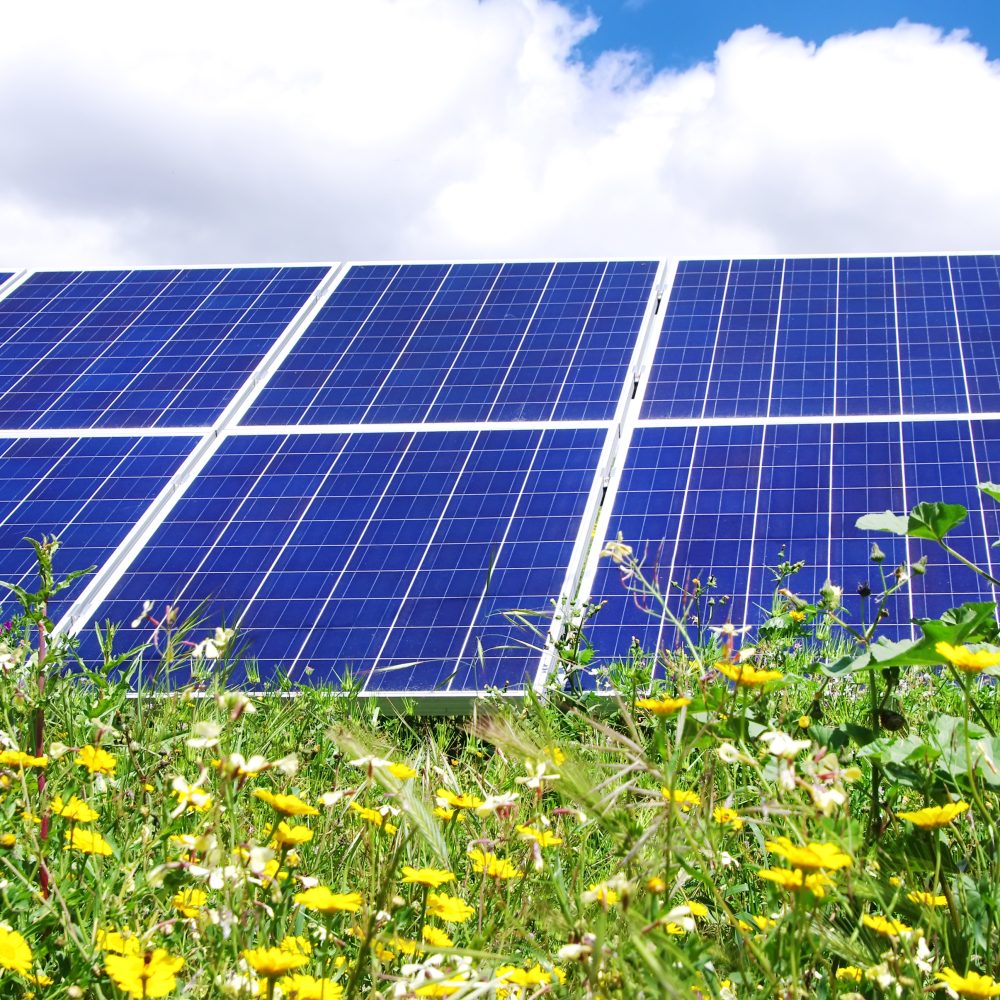 News – Springwell Solar Farm
