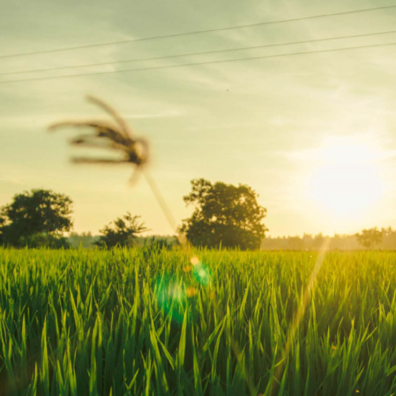 On-site works – Springwell Solar Farm